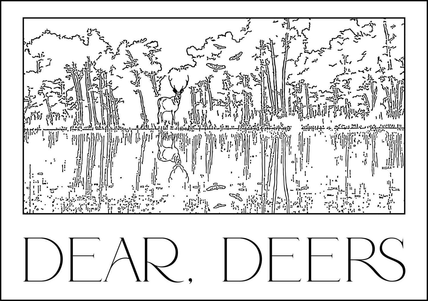 tacica BEST ALBUM TOUR 2022 “dear, deers”開催決定 / NEWS / tacica official site
